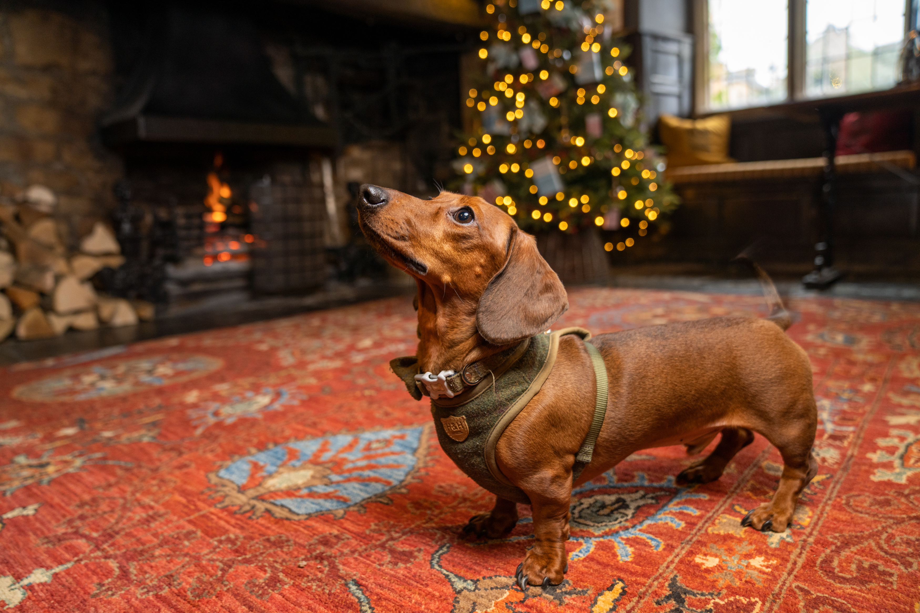 Menus | The Lygon Arms Hotel, Broadway